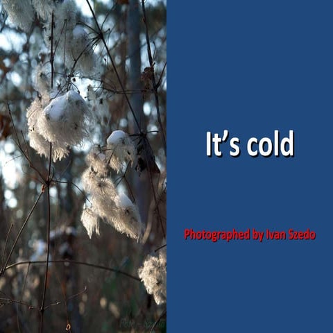 It's cold in Winter | PPT