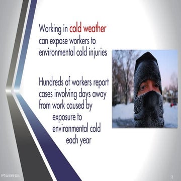 Cold Weather | PPT