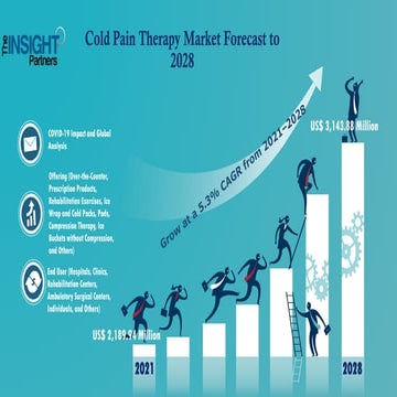 Cold Pain Therapy Market | PDF
