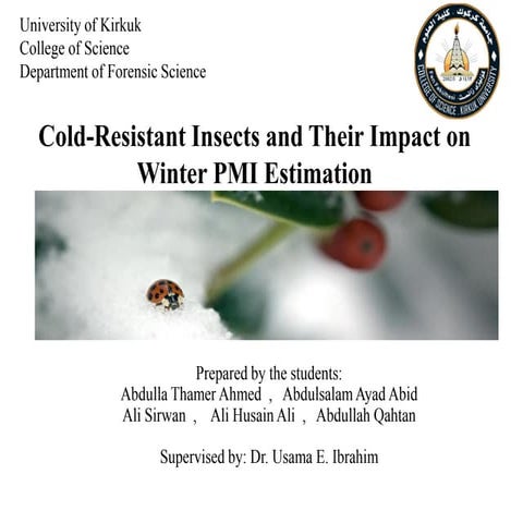 html complete notes | PDF