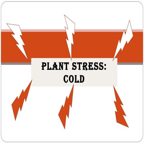 Cold stress | PPT