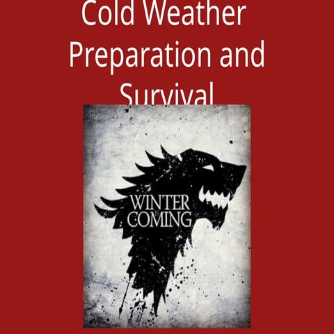 Winter Safety | PPTX