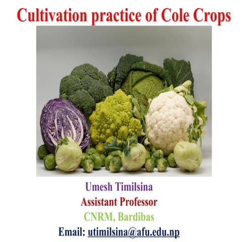 Sheikh Mohammad zaid .....pdf........... | PDF