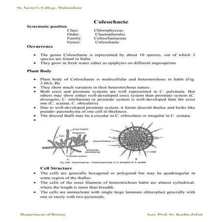Chara algae Morphology Cell Structure Reproduction | PPTX