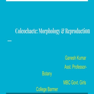 Coleochaete Morphology & Reproduction | PPTX