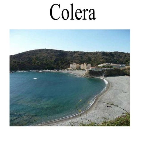 Colera | PPT