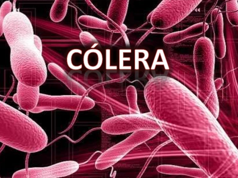 Colera