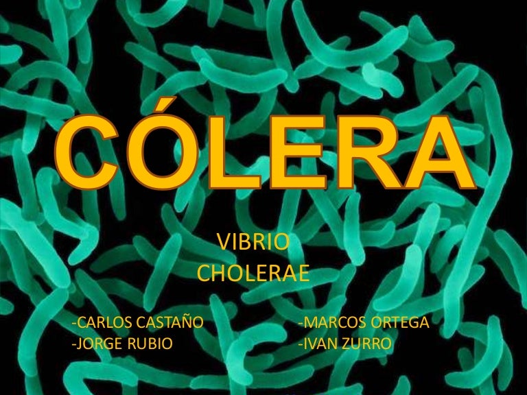 Colera Secuelas