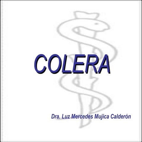 Colera 2009 | PPT