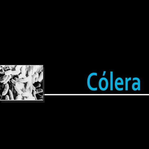 Colera Actualizacion para confrencia a medicos.ppt