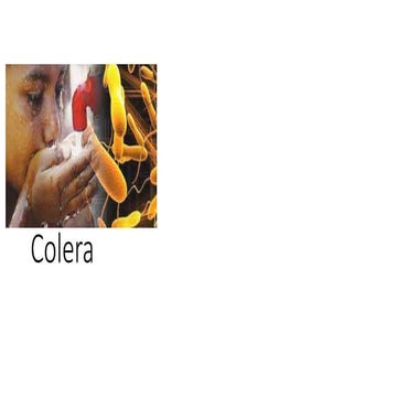 colera presentacion.pptx