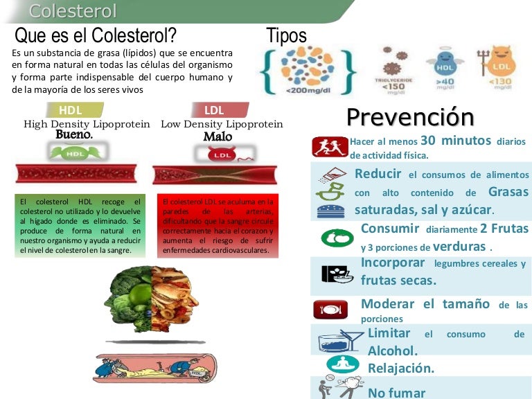 Colesterol Hdl