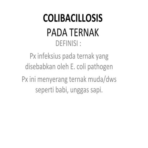 Colibacillosis | PPT