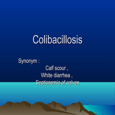 Colibacillosis | PPT