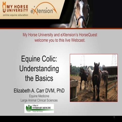 Colic: Diagnosis, Treatment and Prevention (Carr) | PPTX