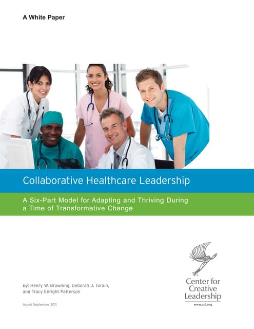 Governance in Healthcare: Leadership for Successful Improvement | PPTX ...
