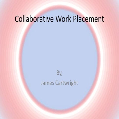 Collaborative work placement presentation | PPTX
