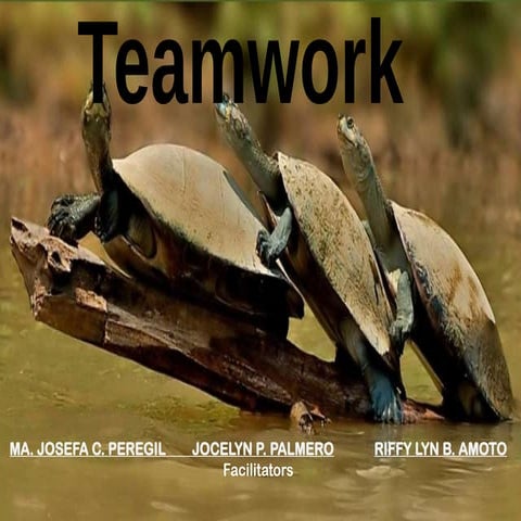 Collaboration Expertise_Team Work Topic.pptx