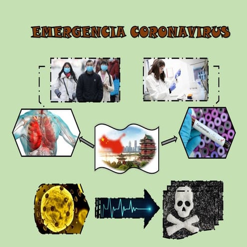 Collage | PDF