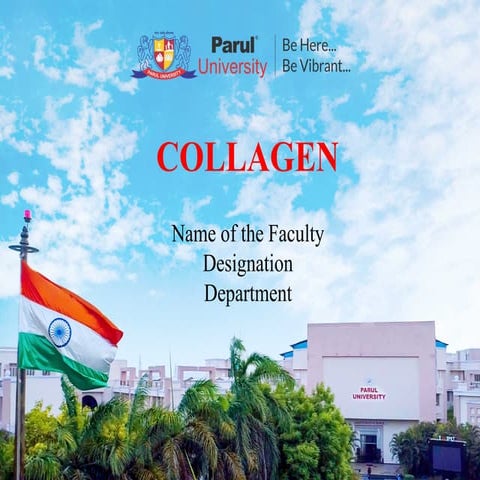 structure of collagen and functions of collagen | PPTX