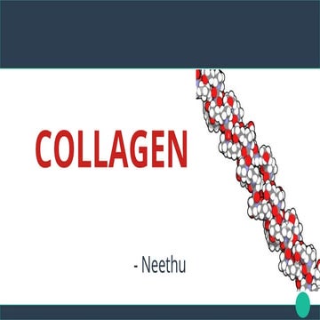 COLLAGEN , Structure and collagen typess | PPT