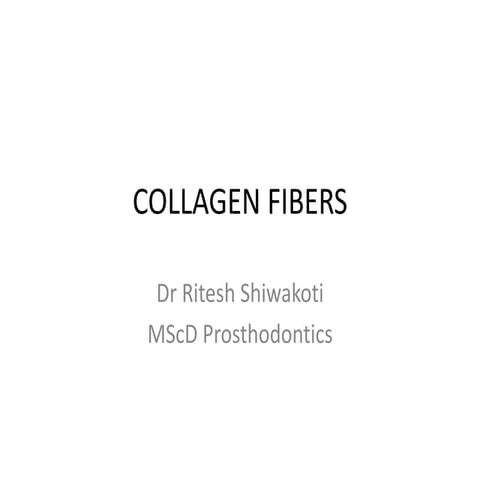 Collagen fibers | PPTX