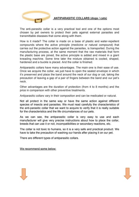 Client Handout - Fleas | DOCX