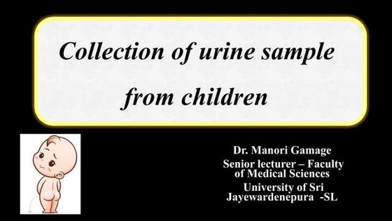 SAMPLE COLLECTION | PPT