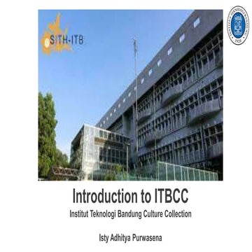 Introduction to ITBCC | PPTX
