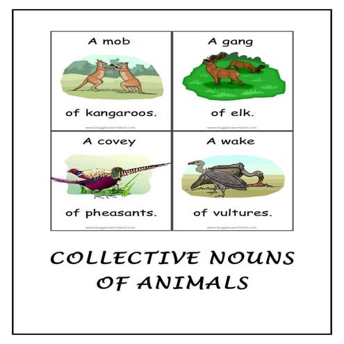 Collective nouns of animals (1) | DOC