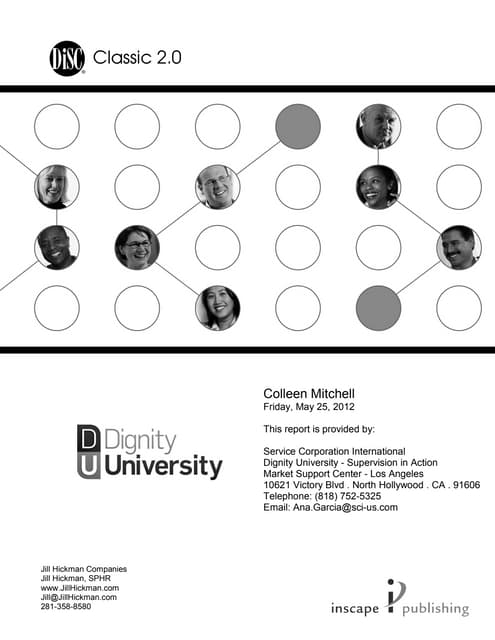 Disc profile-e brochure | PDF