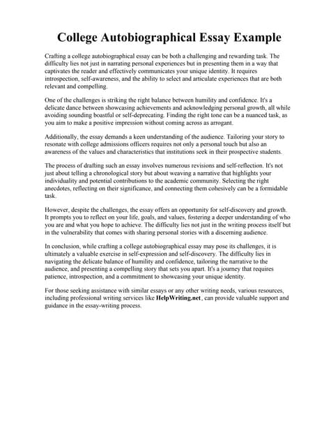 Examples Of Example Essays | PDF