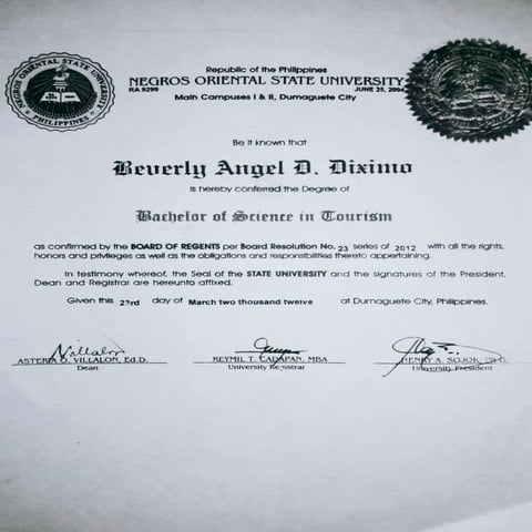 University Diploma | PDF