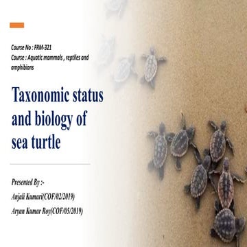 Taxonomic status and biology of sea turtle[college of fisheries ...