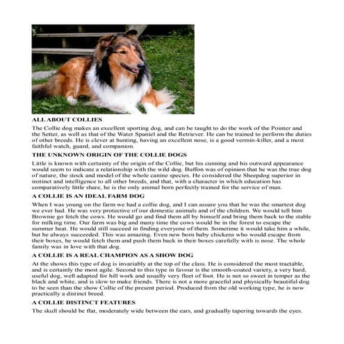 Collies 2 | PDF