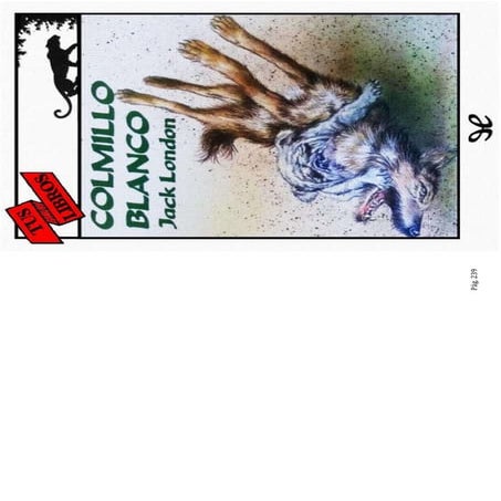 COLMILLO ANVERSO NIVEL PRIMARIO (5).pdf