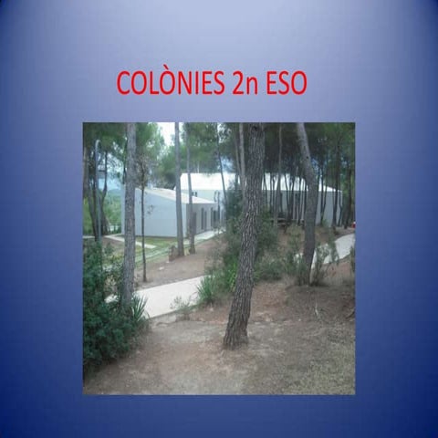 Colònies 2 n eso | PPTX