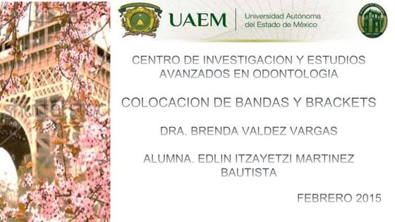 Curso continuado de ortodoncia con filosofia roth williams | PDF