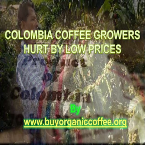 Coffee from Colombia | PPT