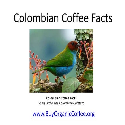 The coffee export .... | PPTX