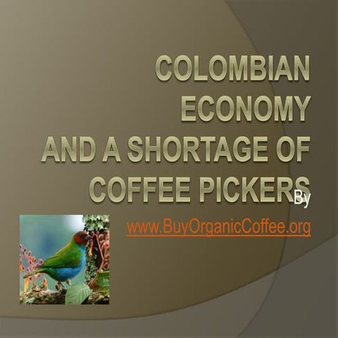 Colombian Economy and a Shortage of Coffee Pickers | PPTX