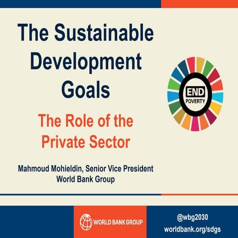 SDGs and Private Sector Opportunities | PPTX