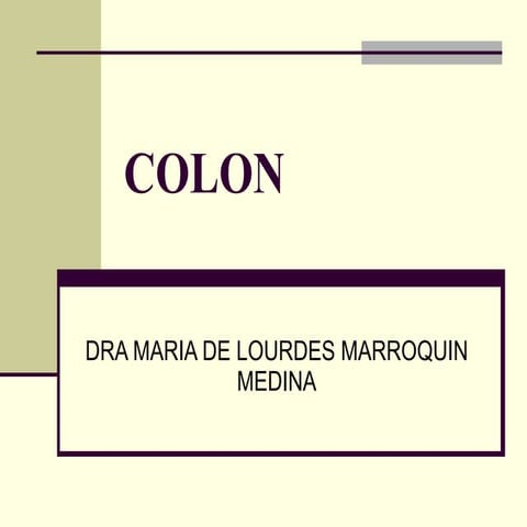Radiologia de Colon | PPT