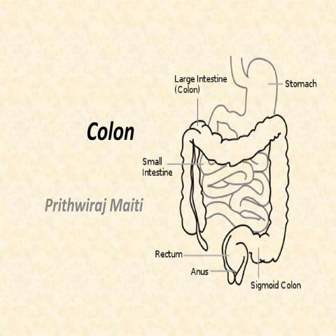 Important disorders of colon | PPSX