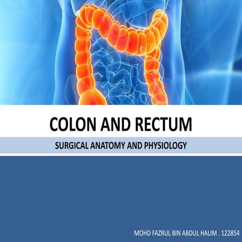 Colon and Rectum Surgical Anatomy and Physiology | PPTX