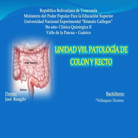 Colon, ano y recto desiree velasquez | PPTX