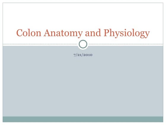 Anatomy of appendix | PPTX | Brain and Nervous System Disorders ...