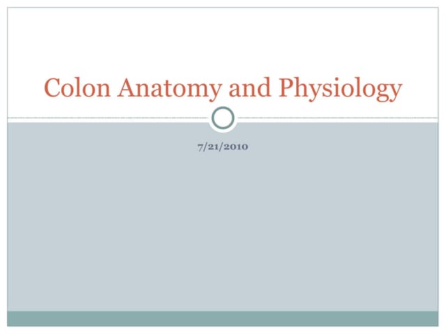 Anatomy of appendix | PPTX