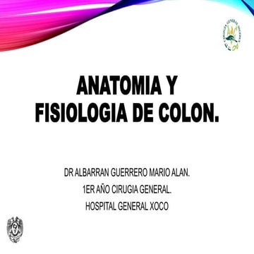 COLON OK.pptx