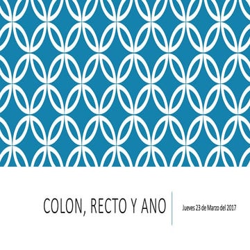 Colon, recto y ano | PPTX